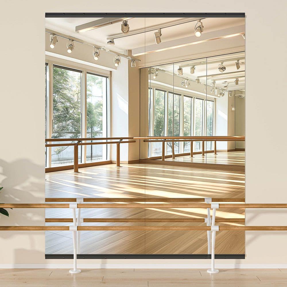 Vosuja 2 Pieces 39 in. W x 95 in. H Black Rectangle Frameless Wall ...