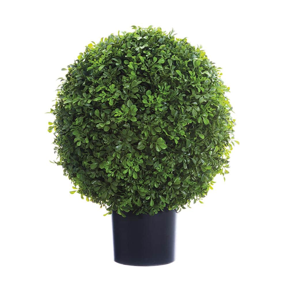 ALLSTATE FLORAL INC 22 in. Boxwood Ball Topiary in Nursery Pot LPB350 ...