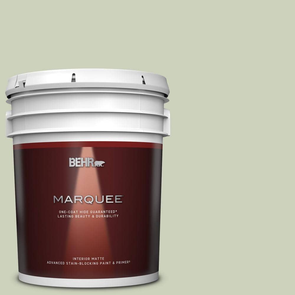 BEHR MARQUEE 5 gal. #PPU10-09 Chinese Jade One-Coat Hide Matte Interior ...