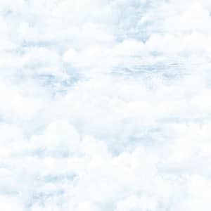 Global Fusion Sky White and Blue Cloud Design G56426 - The Home Depot
