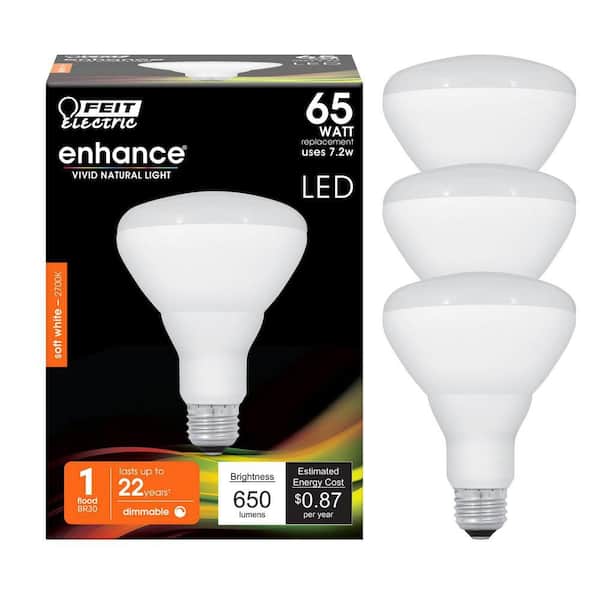 65 Watt - LED Light Bulbs - The Home Depot