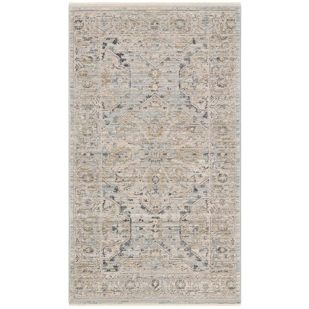Nourison Nyle Light Blue 3 ft. x 5 ft. Distressed Transitional Area Rug ...