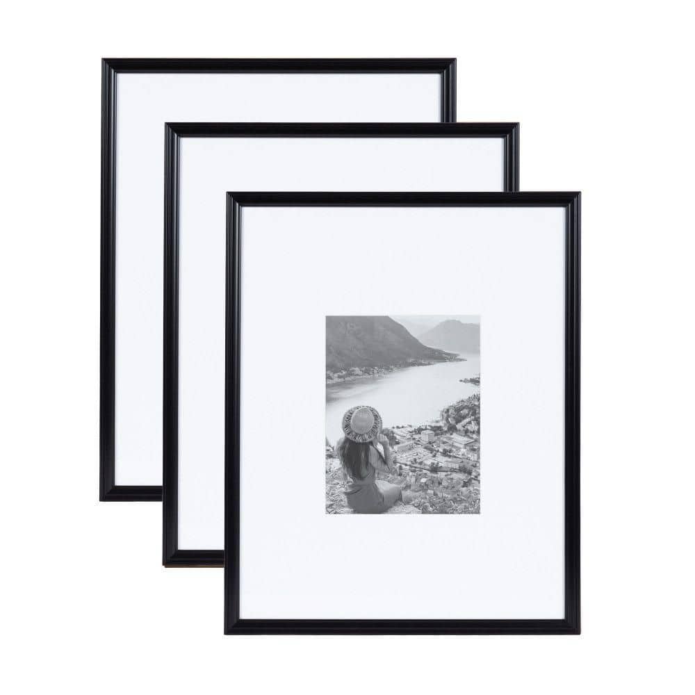 Kate and Laurel Adlynn 16 in. x 20 in. Black Picture Frame (Set of 3 ...