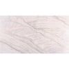 STONEMARK 3 in. X 3 in. Quartzite Countertop Sample in Pegasus White DT ...