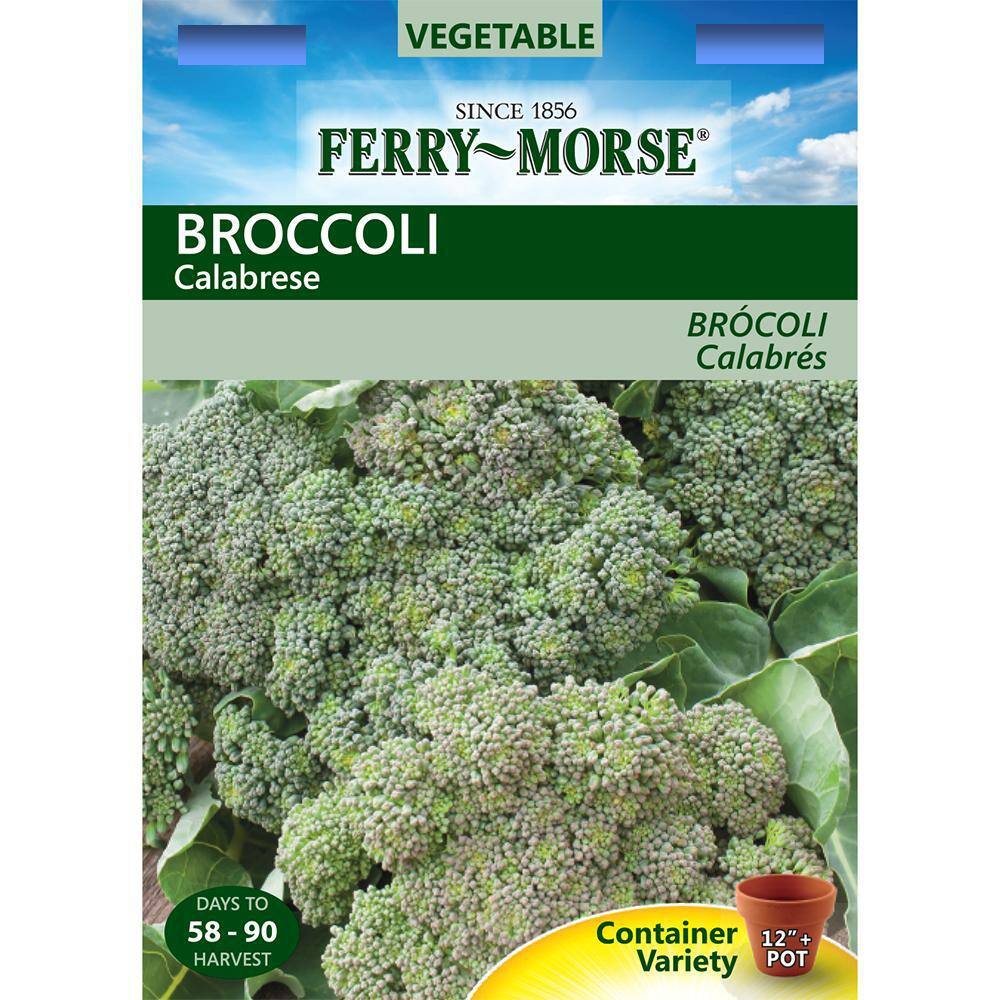 Ferry-Morse Broccoli Calabrese Vegetable Seeds 0827 - The Home Depot