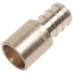 LTWFITTING 1/2 in. PEX Barb x MIP Lead Free Brass Adapter Fitting (5 ...