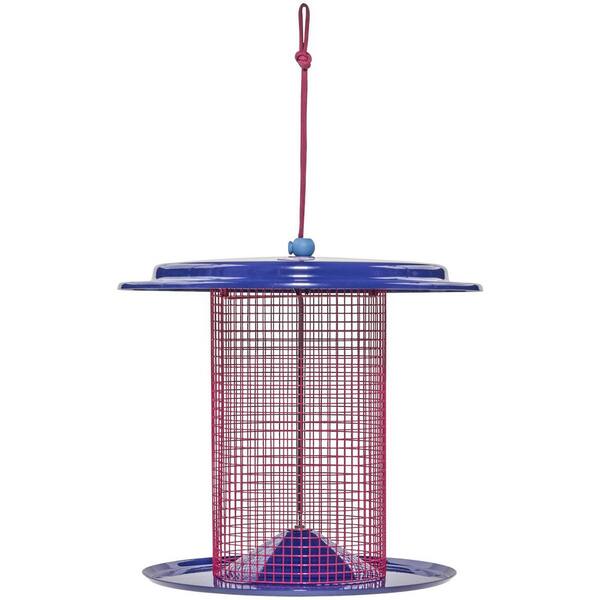 Birds Choice Sunflower Seed Bird Feeder Color Pop Collection in Blue ...
