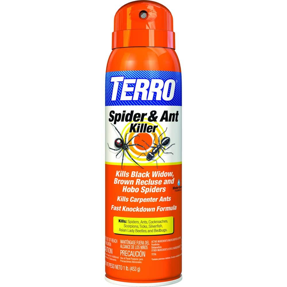 TERRO 16 oz. Ready-to-Use Indoor/Outdoor Spider and Ant Killer Aerosol ...