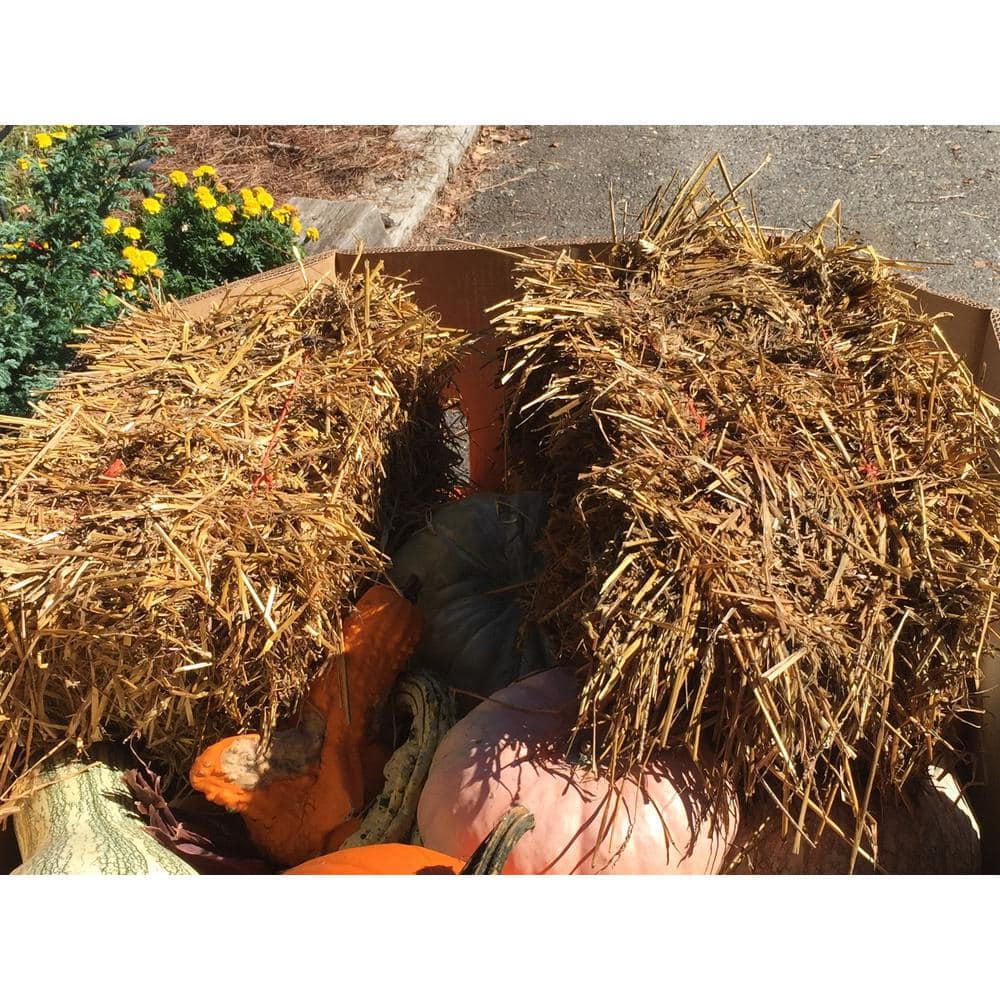 Sexton Farms Mini Haybale 768986600231 - The Home Depot