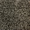 Home Decorators Collection 8 in. x 8 in. Texture Carpet Sample ...