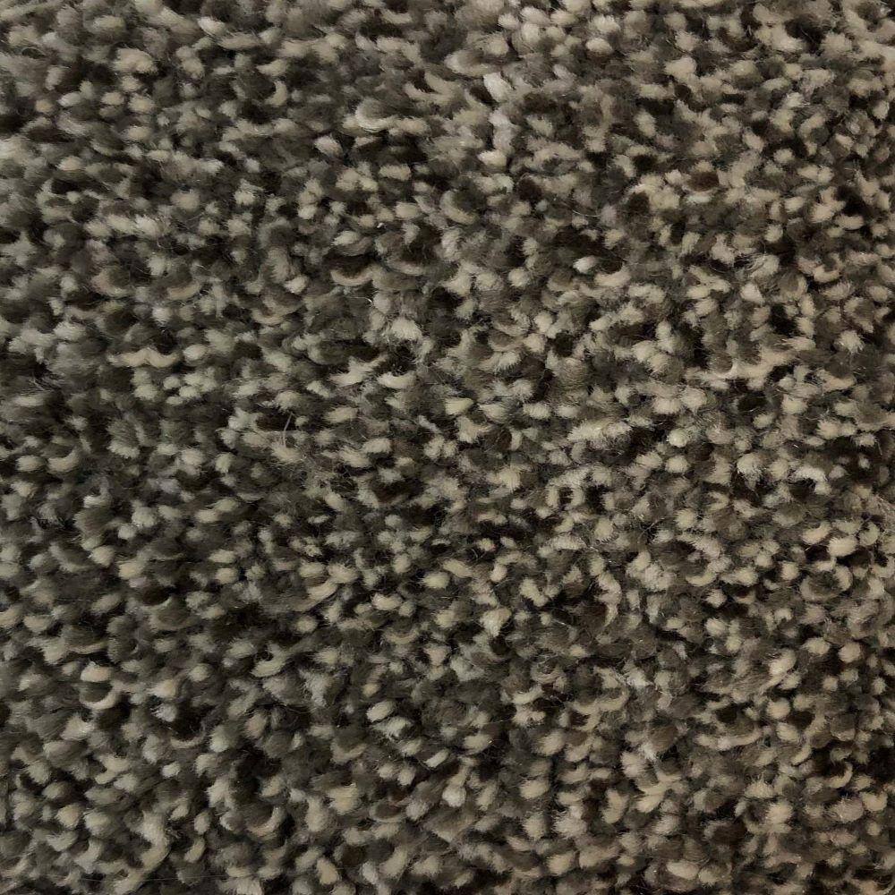 Home Decorators Collection 8 in. x 8 in. Texture Carpet Sample ...