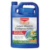 BIOADVANCED 1 Gal. Concentrate All-In-One Lawn Weed and Crabgrass ...