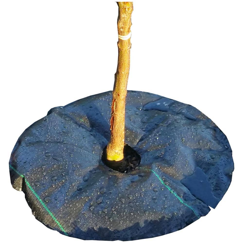 TreeDiaper 24 in. Tree Hydration Mat for Trees up to 1.5 in. Caliper ...