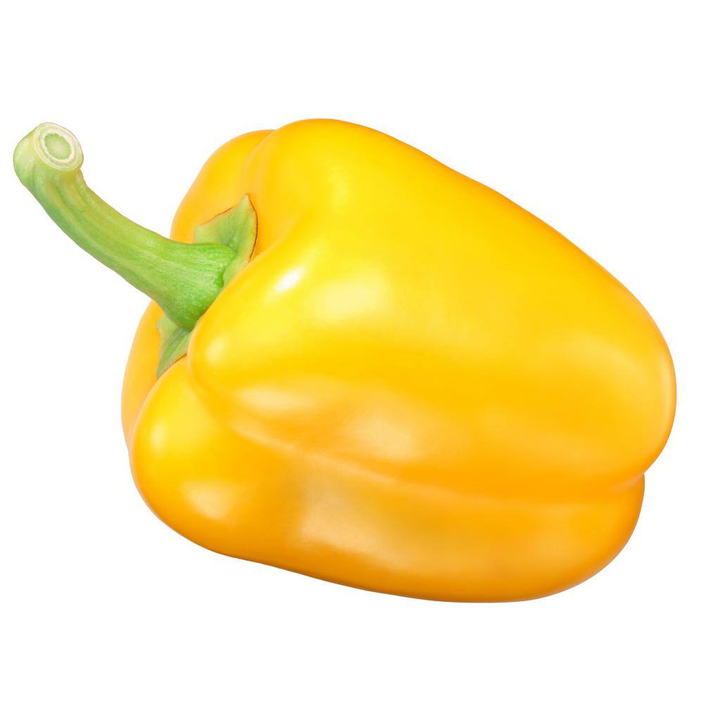 Burpee 4 In. California Wonder Sweet Bell Pepper Vegetable Plant (6 ...