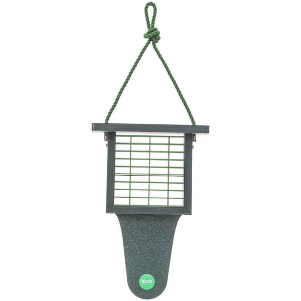 BIRDS choice Suet Feeder with Tail Prop Color Pop Collection in ...