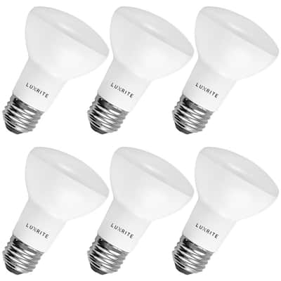 BR20 - LED Light Bulbs - Light Bulbs - The Home Depot