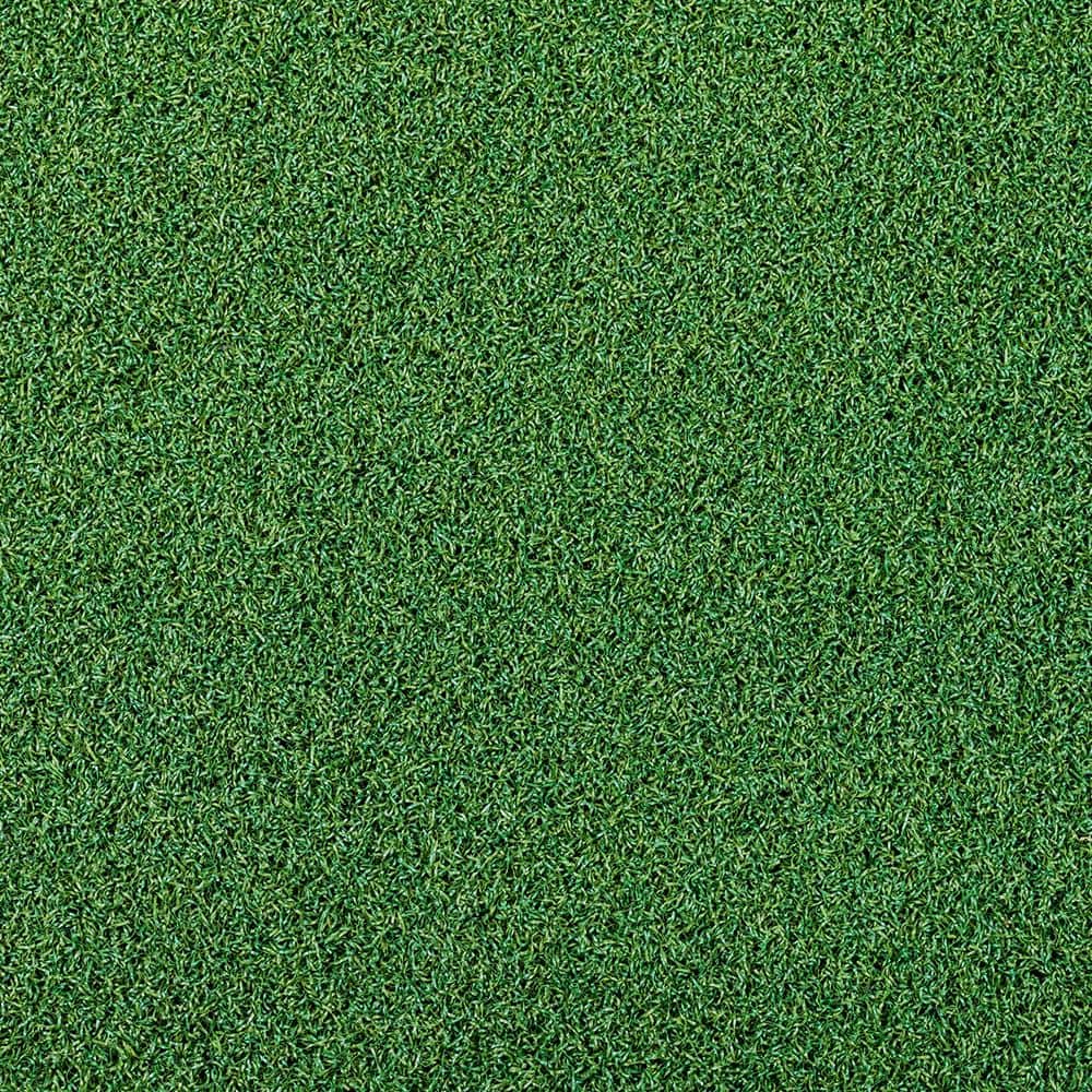 TrafficMaster Putting Green 12 ft. W x Cut to Length Artificial Grass Turf TMSPUTT211275 - The ...
