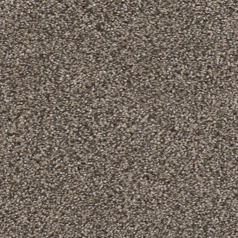 Home Decorators Collection 8 in. x 8 in. Texture Carpet Sample - Fall ...