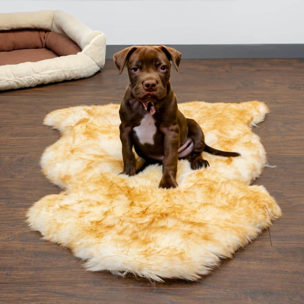 Super Area Rugs Eclipse Brown and Ivory 2 ft. x 3 ft. Genuine New ...