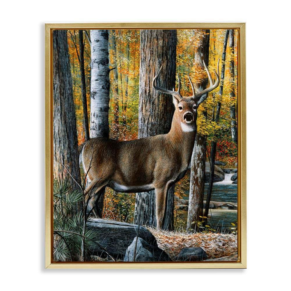 Stupell Industries Deer Among Autumn Foliage by Kevin Daniel Gold ...
