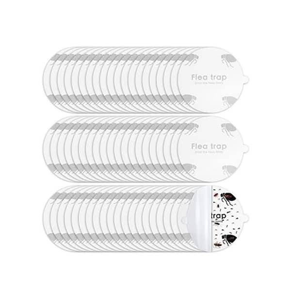 .N/A Indoor Double Layer Adhesive Odorless Nontoxic Flea Fly Bug Glue ...