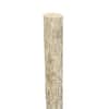 6 in. x 6 in. x 8 ft. Pressure-Treated Pine Round Fence Post N0500854 ...