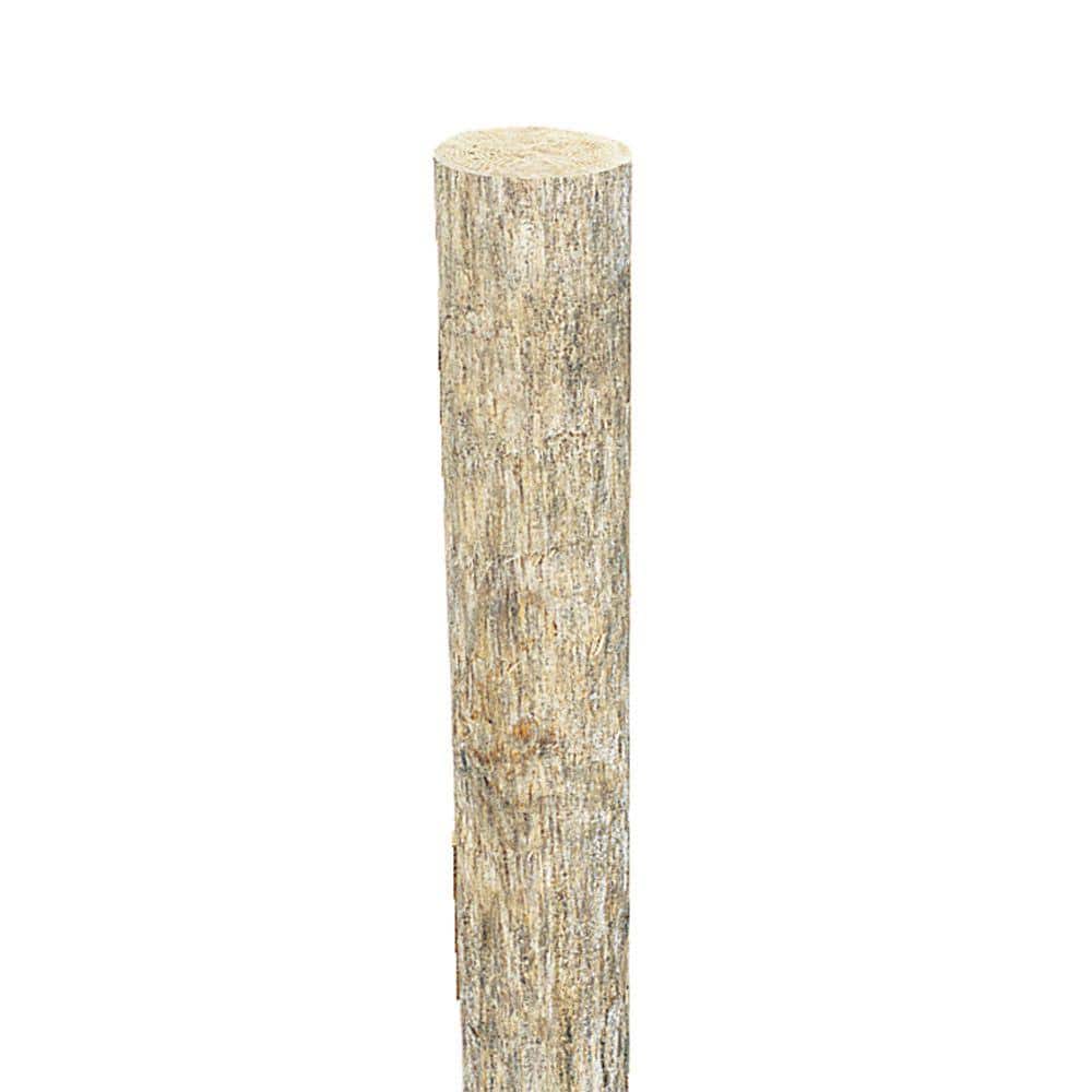 6 in. x 6 in. x 8 ft. Pressure-Treated Pine Round Agriculture Fence ...