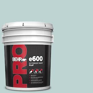 BEHR PRO 5 gal. #500E-3 Rain Washed Low Luster Exterior Paint PR62005 ...