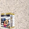 DAICH SpreadStone Mineral Select 1 qt. Oyster Countertop Refinishing ...