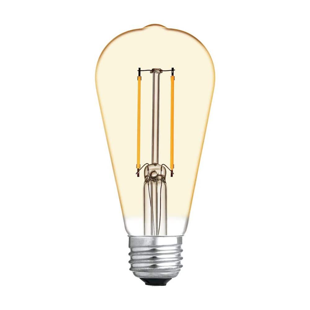 GE 60.0-Watt Equivalent ST19 Straight Tapered Edison style LED Light ...