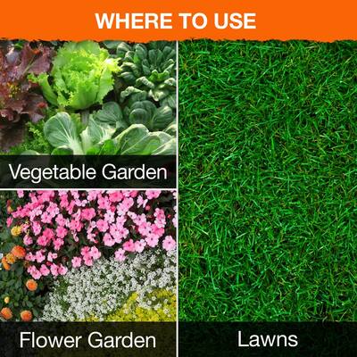 Insect Killer Granules - Insect Killers - The Home Depot