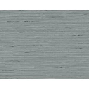 Seabrook Designs 56 sq. ft. Metallic Powder Blue Linnet Damask Unpasted ...