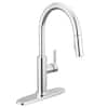 Delta Nicoli Single Handle Pull Down Sprayer Kitchen Faucet in Chrome ...