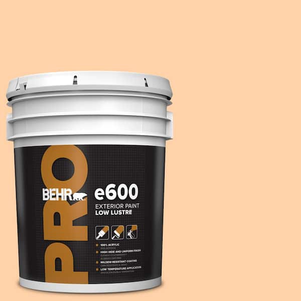 BEHR PRO 5 gal. #P230-3 Vitamin C Low Luster Exterior Paint PR62005 ...