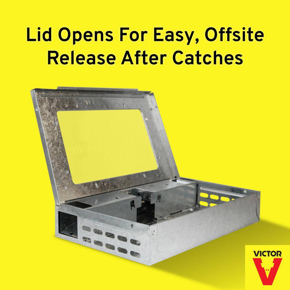 Buy Tin Cat Mouse Trap with See Thru Lid (12-Pack) Online at Lowest ...