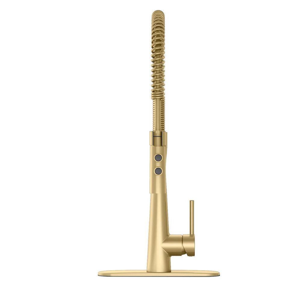 PRIVATE BRAND UNBRANDED Single-Handle Spring Sprayer Kitchen Faucet ...