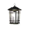 KODA Williams 14 in. 1-Light Black Dimmable Outdoor Pendant Light with ...