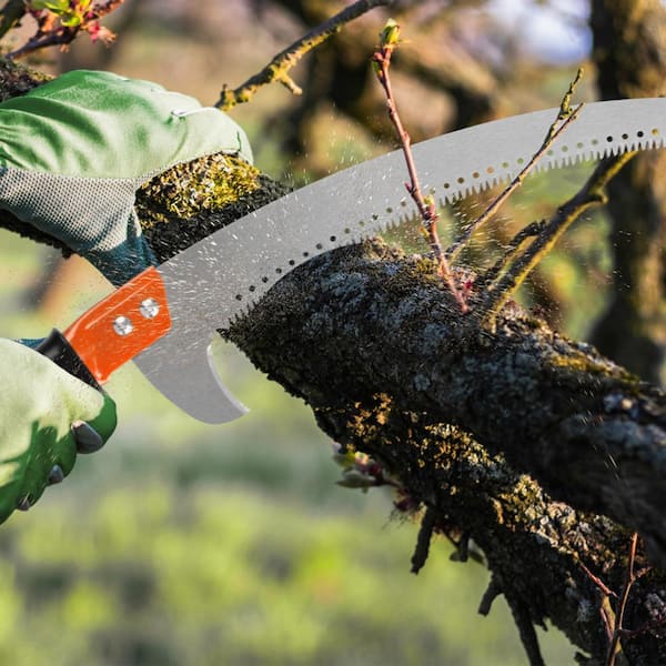 WaLensee 17 in. Steel Blade 120 in. Pole Saws for Tree Trimming Manual Stainless Steel Extension High Pole Pruning Pole Saw PS 002 B