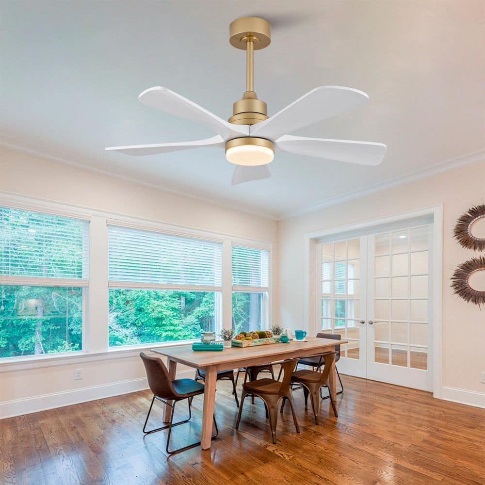 42 in. Gold Iron Housing and 5 White Solid Wood Blades Downrod Mount ...