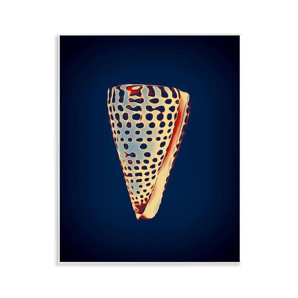 Stupell Industries Cone Shell on Blue by Graffi*Tee Studios Unframed Coastal Graphic Art Print ...