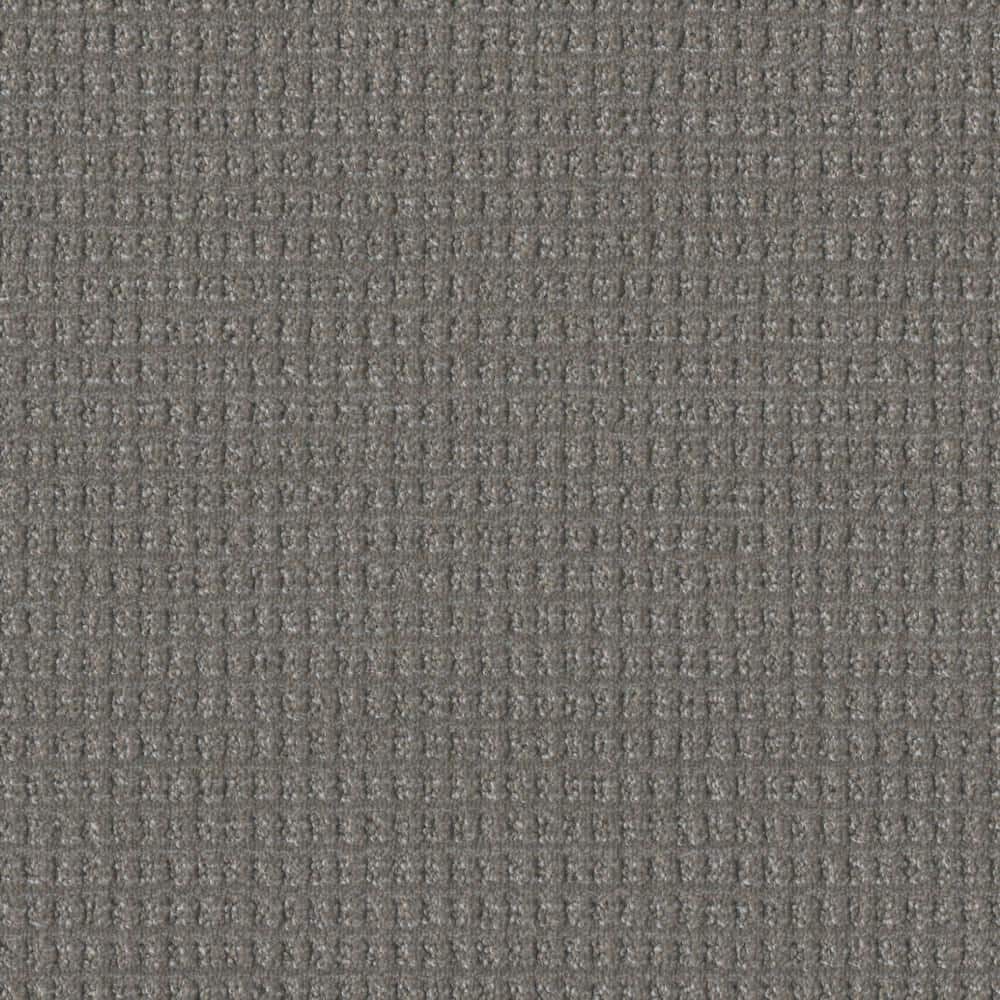 Reviews for Home Decorators Collection Amaryllis-Jersey Gray-35 oz. SD ...