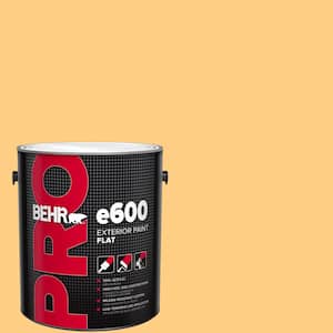 BEHR PRO 5 gal. #P250-4 Equatorial Low Luster Exterior Paint PR62005 ...