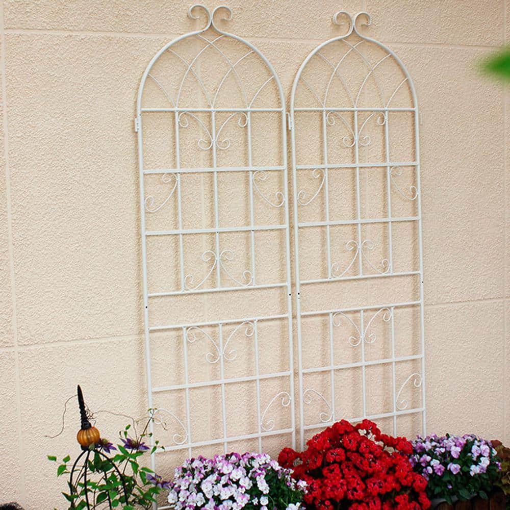 Zeus & Ruta 71 in. x 19.7 in. White 2-Pack Metal Garden Trellis for ...