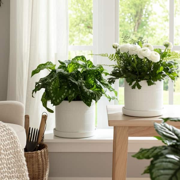 Reviews for Liv & Skye 10 in. and 12 in. White Ceramic Bubble ...