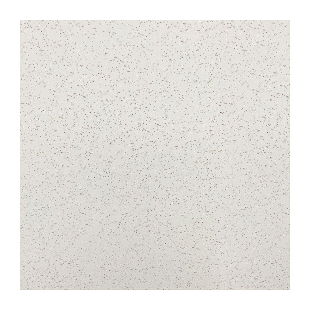 Gigrwiin White 2 ft. x 2 ft. Decorative Smooth Ceiling Tile 48 (sq. ft ...