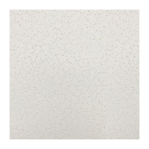 Gigrwiin White 2 ft. x 2 ft. Decorative Smooth Ceiling Tile 48 (sq. ft ...