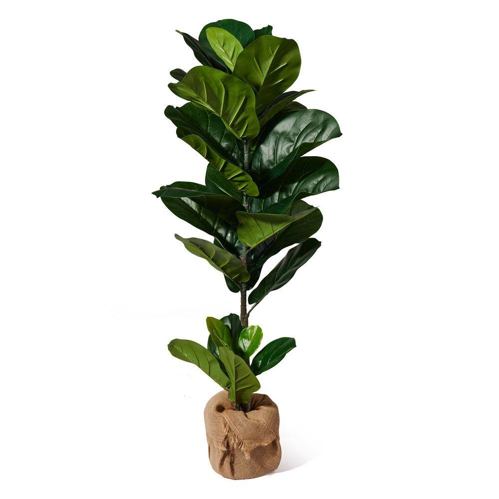 Elements 43 in. Artificial Fiddlehead Ficus Tree 5268806 - The Home Depot