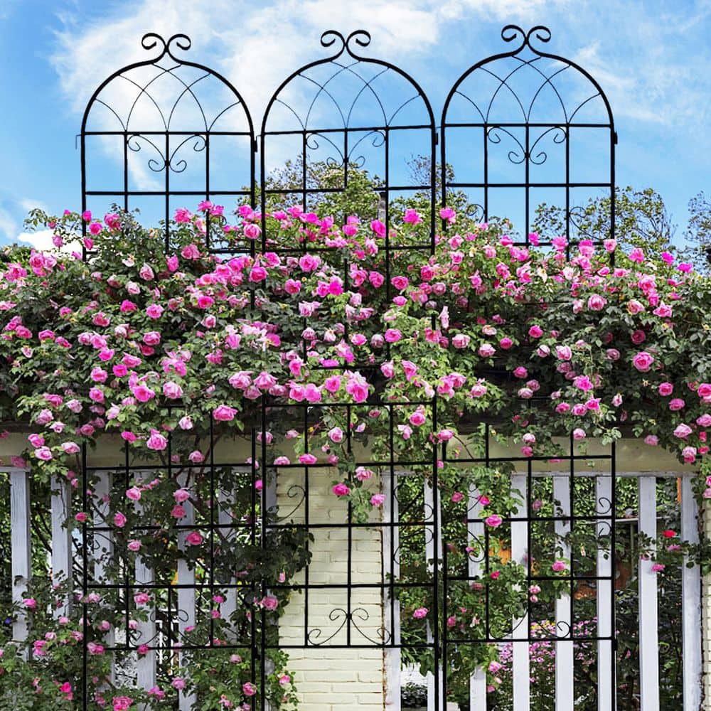 Black 86.70 in. 4 Pack Metal Outdoor Garden Trellis or Climbing Plants ...