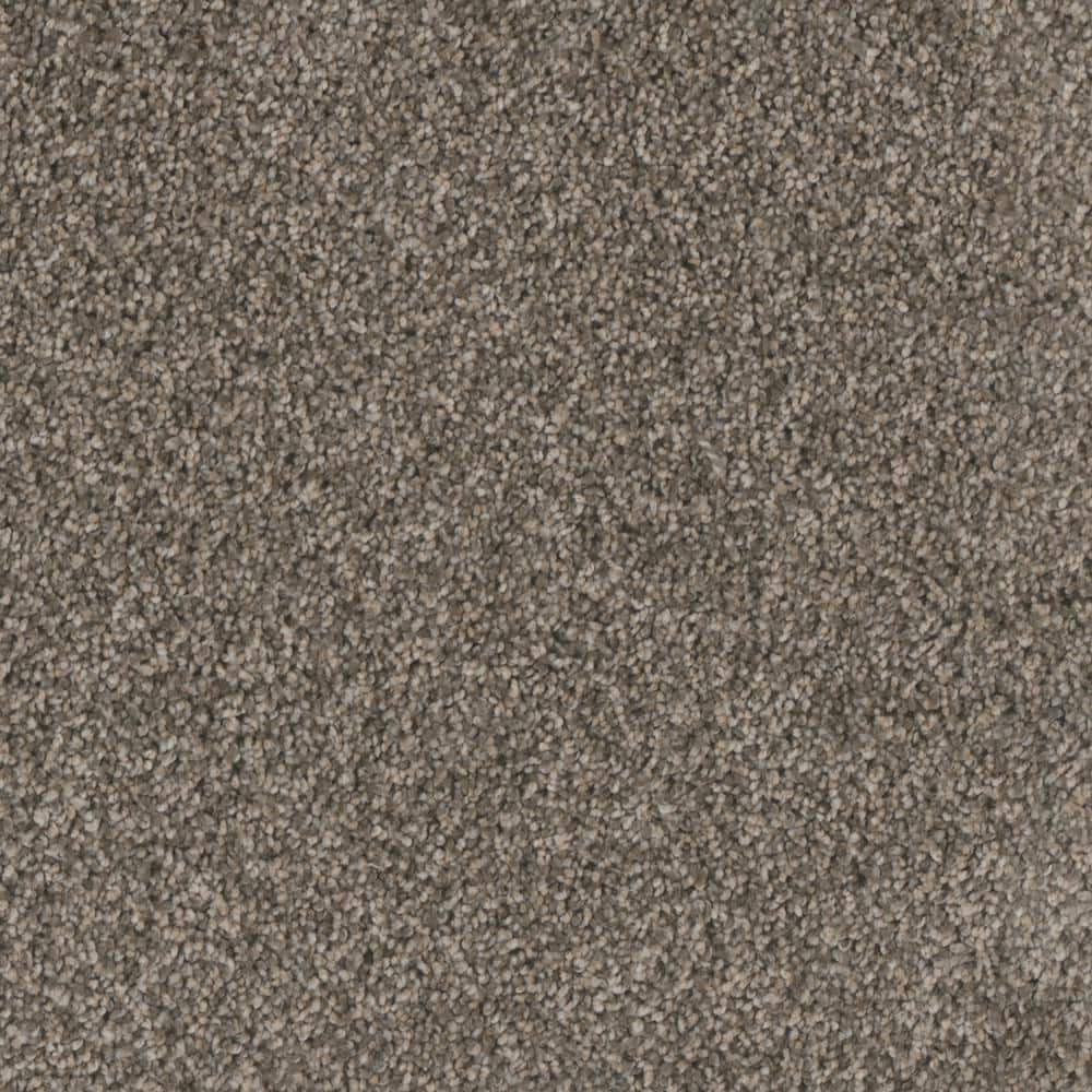 Reviews for Home Decorators Collection Affectionate I - Loyal - Beige ...