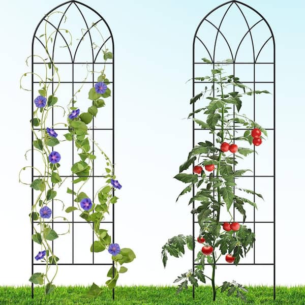 FAWEY TRED INC 48 in. Foldable A-Frame Cucumber Trellis with Twist Ties ...